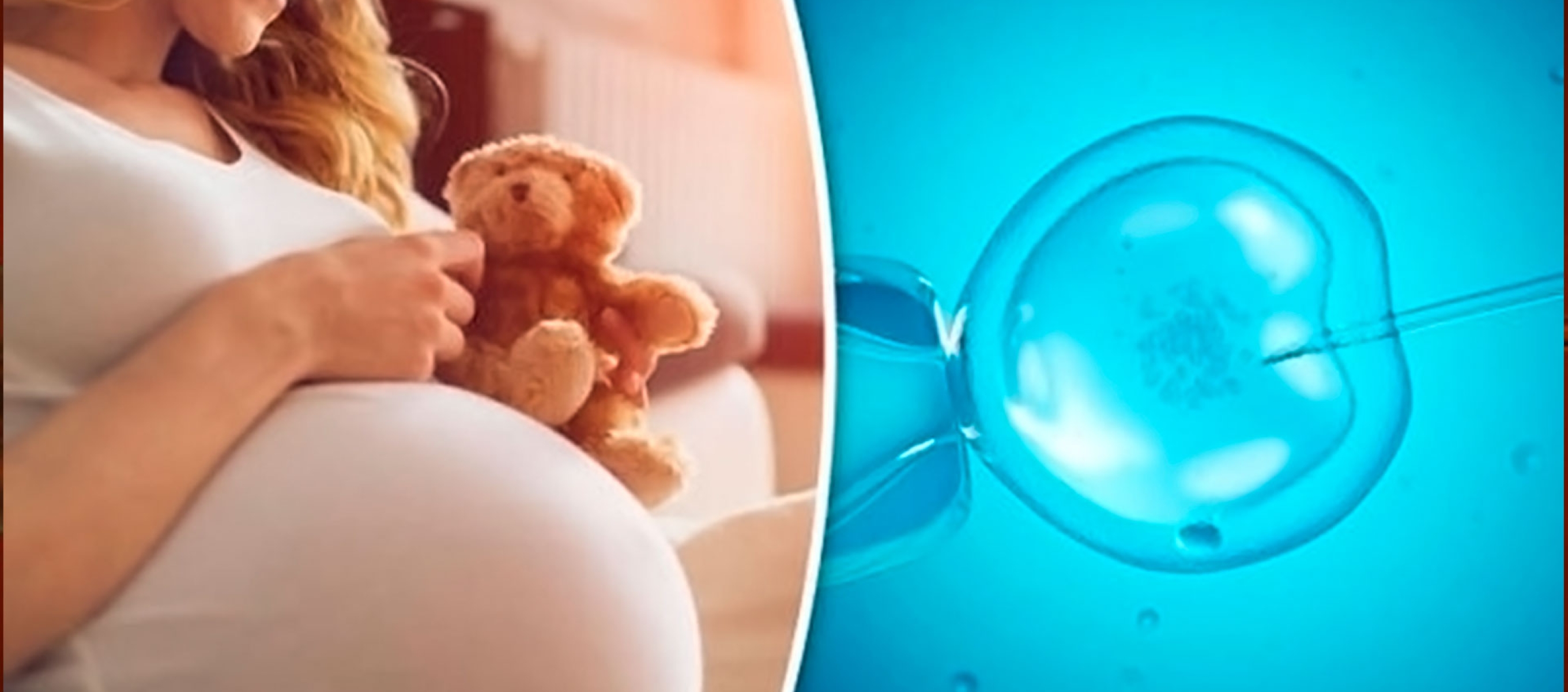 El Proceso de la FIV Paso a Paso | Guía Completa | Fertilab Barcelona